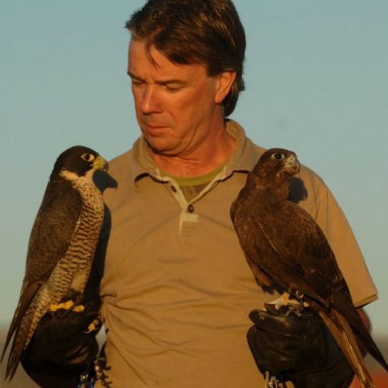 Pigeon Extermination | Adelaide bird removal